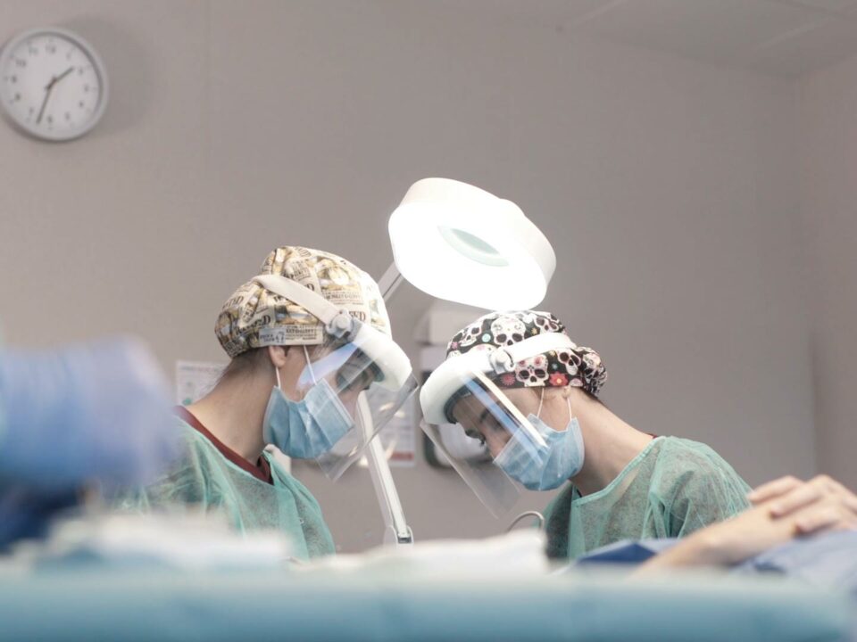 Clinica Salud Capilar | Insparya